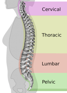 Upper Back Pain - Regen Doctors
